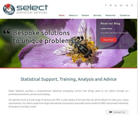 Home Select Statistical Consultants