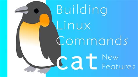 Building Linux Commands From Scratch 🐧 Cat Adding New Features Youtube
