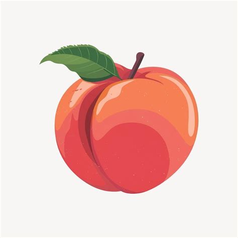 Premium Vector Fresh Juicy Peach Illustration