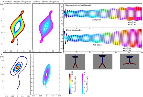 A Phase Portrait Of Two Double Pendulums Connected To A Common Download Scientific Diagram
