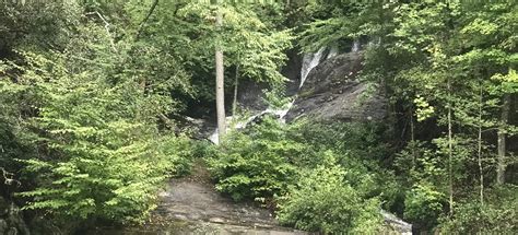 Fires Creek Rim Trail North Carolina 130 Reviews Map Alltrails