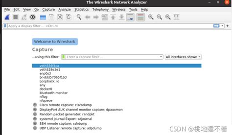 从入门到入土： Seed Lab Packet Sniffing And Spoofing Lab嗅探与欺骗实验详细说明实验步骤实验截图seed Lab实验 Csdn博客
