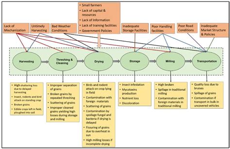 Organization Workflow Stages Diagram