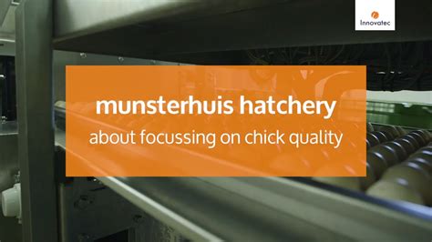 Innovatec Hatchery Automation The New Standard In Maximizing Bio Security In The Hatchery Youtube