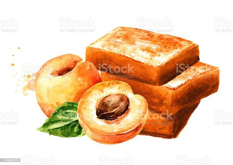 수제 살구 마멀레이드 잼 젤리 흰색 배경에 고립 된 손으로 그린 수채화 그림 가득 찬에 대한 스톡 벡터 아트 및 기타 이미지 가득 찬 건강한 식생활 과일 Istock