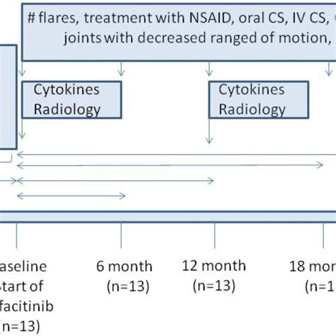The Study Flow Chart With Timelines Download Scientific Diagram