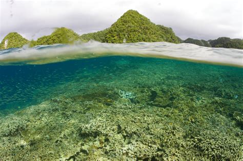 The Prospect Of Global Coral Reef Bathymetry By Combining Ice Cloud And Land Elevation