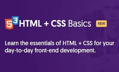Html Css Bootcamp изучение Html Css Flexbox и Css Grid Coursehunter