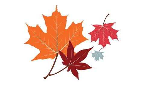 Premium Vector Autumn Tree Leafs Line Art Fall Leaves Crafts Gnome Design Clipart Tree Leafs