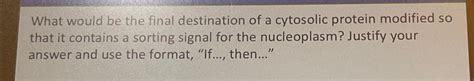 Solved What Would Be The Final Destination Of A Cytosolic