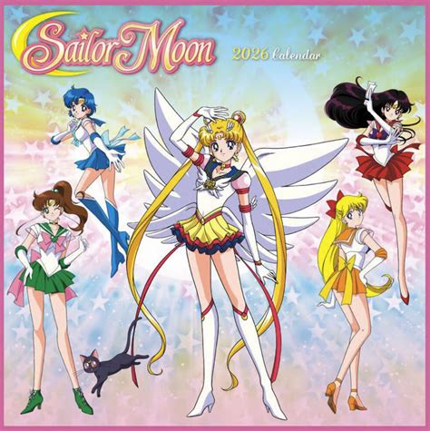 Sailor Moon Cosmos Character Information