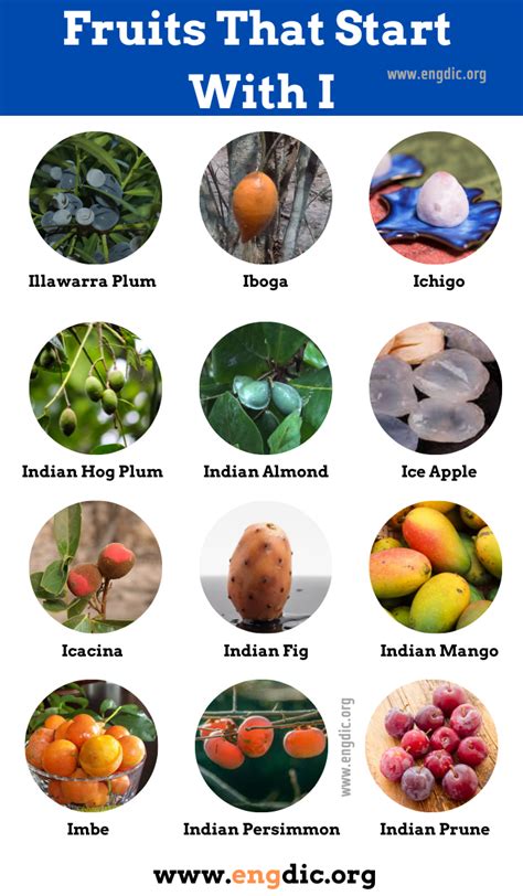 What Fruit Starts With An S At James Kettler Blog