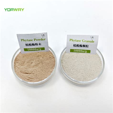 Ydaway Feed Grade Phytase Enzymes Phytase 5000u G Powder 10000u G