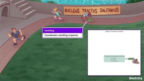 Antiemetic Agents Free Sketchy Medical Lesson