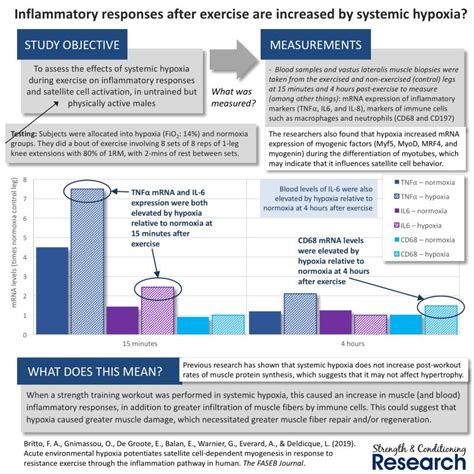 Whether Systemic Hypoxia Affects The Muscular Adaptations That Result