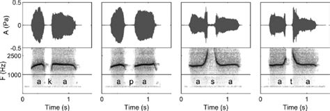 waveform and spectrogram of vcv forms of the experiment [whistled