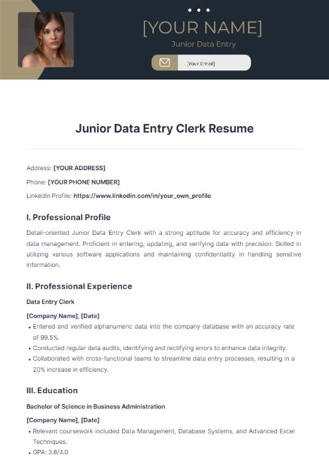 Free Data Entry Templates And Examples Edit Online And Download