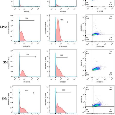The Monocytes Differentiated Into Cd163 Macrophages Under The