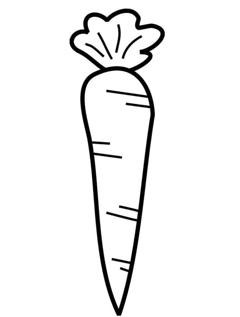 Planse De Colorat Cu Morcov Desene De Colorat