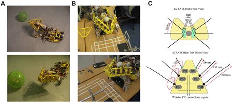 the whisking robot scratchbot a photographs of the mobile whiskered