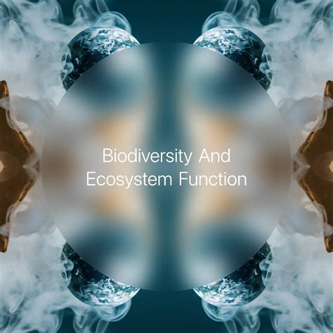 Biodiversity And Ecosystem Function → Term