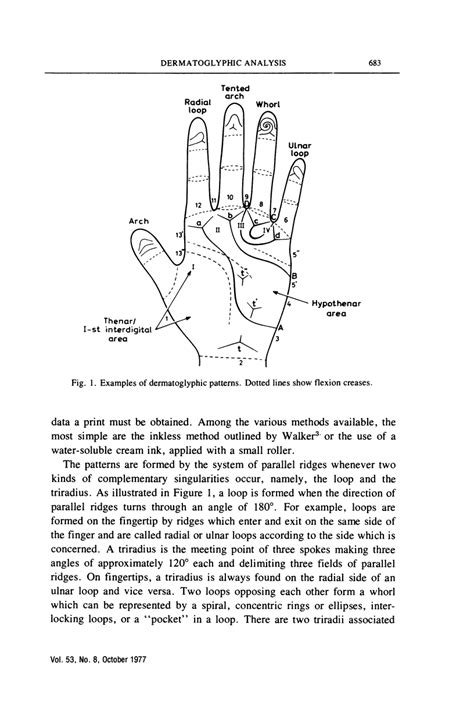 Dermatoglyphic Analysis Anthropological And Medical Aspects Pmc