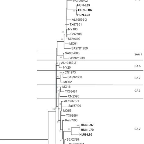 Phylogenetic Tree Of Nucleotide Sequences Of Hrsv Type A In Seasons Download Scientific Diagram