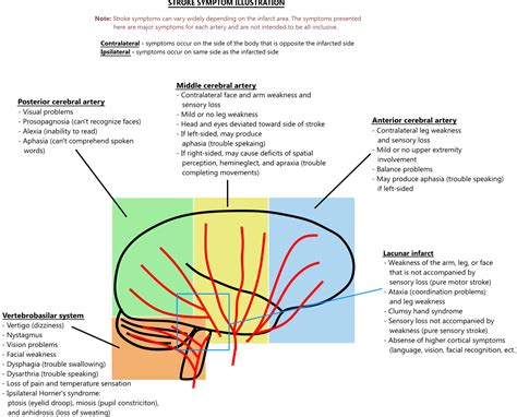 Congratulations The Png Image Has Been Downloaded Stroke Artery
