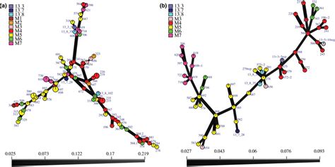 Minimum Spanning Networks Msns Inferred Using Ssrs A And Snps B Download Scientific