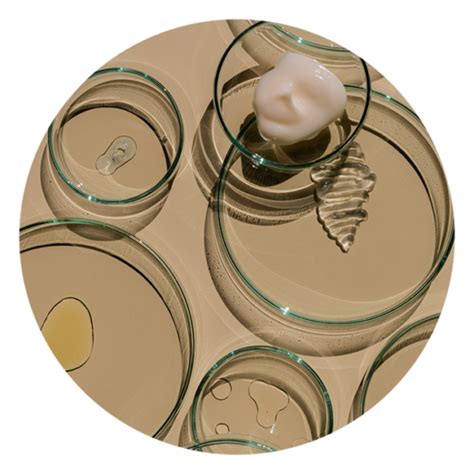 Hypochlorous Acid Spray The Truth Behind The Hype