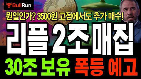 리플 코인 전망 🚀 Xrp 고래 3500원 고점에서 2조 추가 매집한 이유 🚀 이미 28조 보유한 고래 세력 🚀 폭등 신호탄 리플 Youtube
