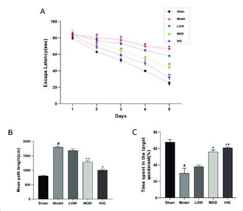 Vis Ameliorated I R Induced Cognitive Dysfunction In Rats N 5 Mean