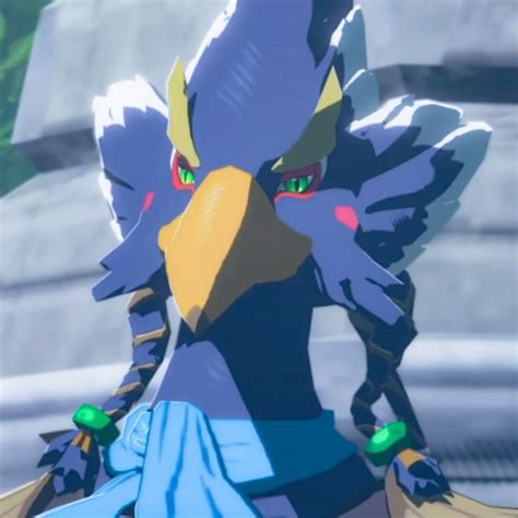 Revali Icon Zelda Hyrule Warriors Legend Of Zelda Breath Of The Wild