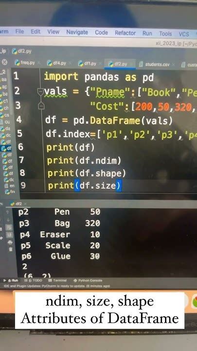 ndim shape and size attribute of dataframe in python pandas cs ip