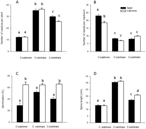 Different Letters Indicate Statistically Significant Differences P≤005 Download Scientific
