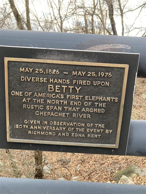 Guess My State Doesnt Like Elephants Rmildlyinfuriating