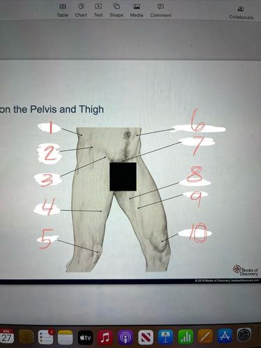 Kin Exam Flashcards Quizlet Kin Exam Flashcards Quizlet