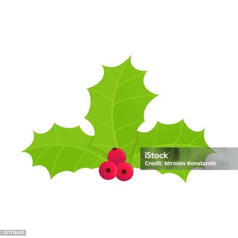 겨울과 휴일 기호 홀리 베리 아이콘 기호 녹색 잎과 빨간 열매 만화 평면 스타일 그라데이션 디자인 벡터 일러스트 레이션 흰색 배경에 고립 0명에 대한 스톡 벡터 아트 및