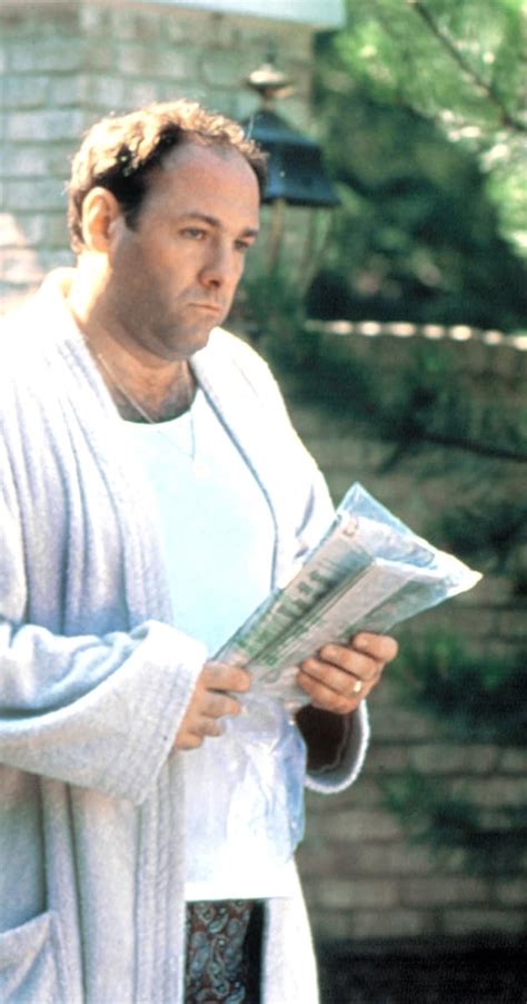 The Sopranos Guy Walks Into A Psychiatrists Office Tv Episode 2000