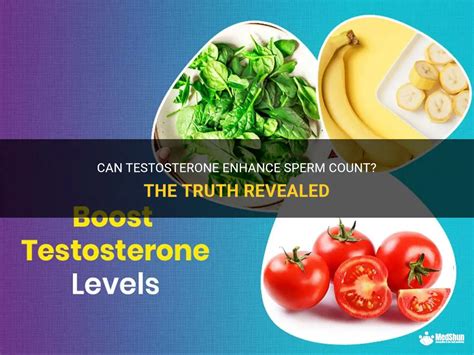 Can Testosterone Enhance Sperm Count The Truth Revealed Medshun