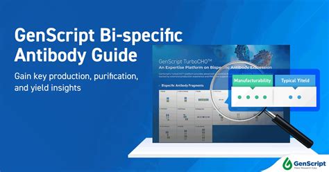 Genscript 🚀 Expert Guide On Bispecific Antibody