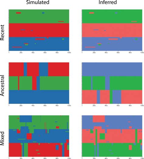 Efficient Inference Of Recent And Ancestral Recombination Within Bacterial Populations Pmc