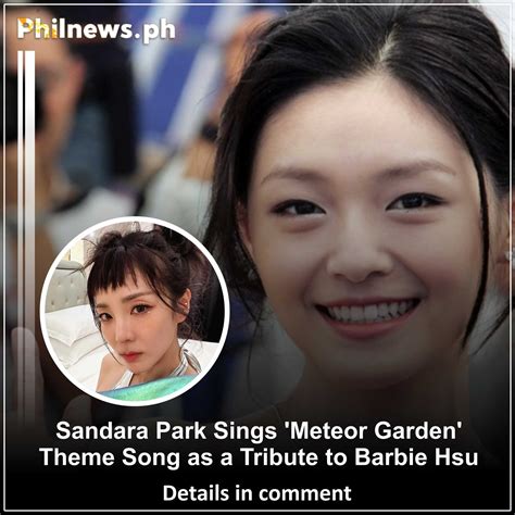 Meteor Garden Theme