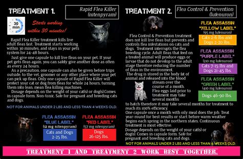 Flea Assassin Flea Treatments Flea Assassin Flea Treatments