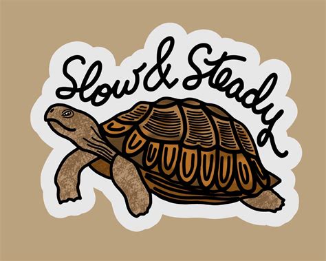 Slow And Steady Wins The Race Tortoise And The Hare Perseverance Keep