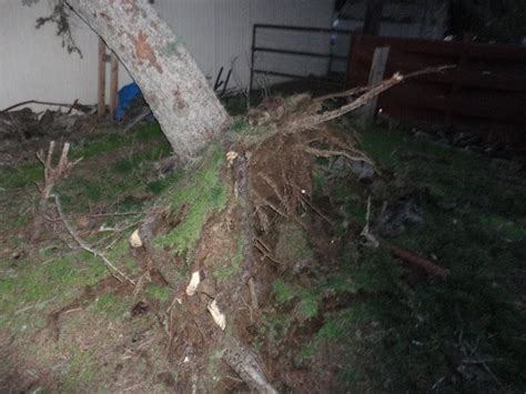 Puphis Postings Microburst