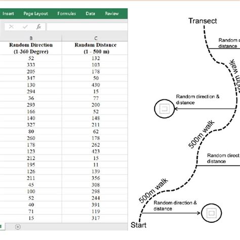 Diagrammatic Representation Of Trail Transect Survey And Plot Layout