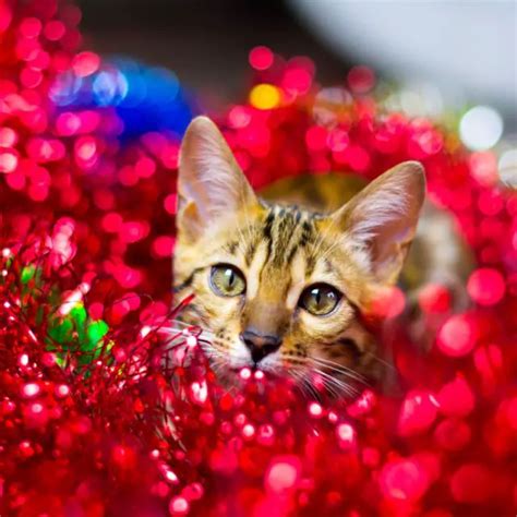 How To Trick Your Brain Into Believing Anything 17 Mind Bending