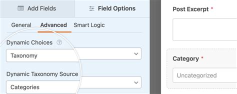 How To Customize Form Field Options