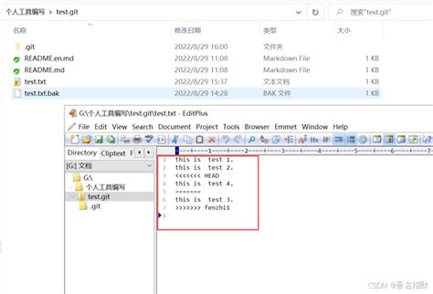 smartgit使用 csdn博客